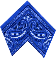 Blue Paisley Print Corner (PSD) | Official PSDs