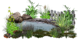 Water Pond (PSD) | Official PSDs