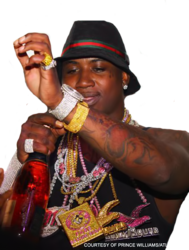 Gucci (PSD) | Official PSDs