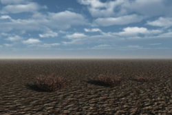 Desolate Area (JPG) | Official PSDs