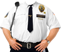 Mall Cop (PSD) | Official PSDs