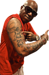 Birdman (PSD) | Official PSDs