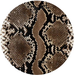 Snake Skin (PSD) | Official PSDs